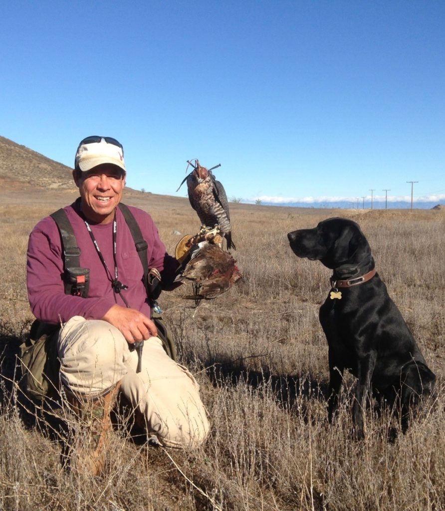 Rabbit – Raptor Ranch