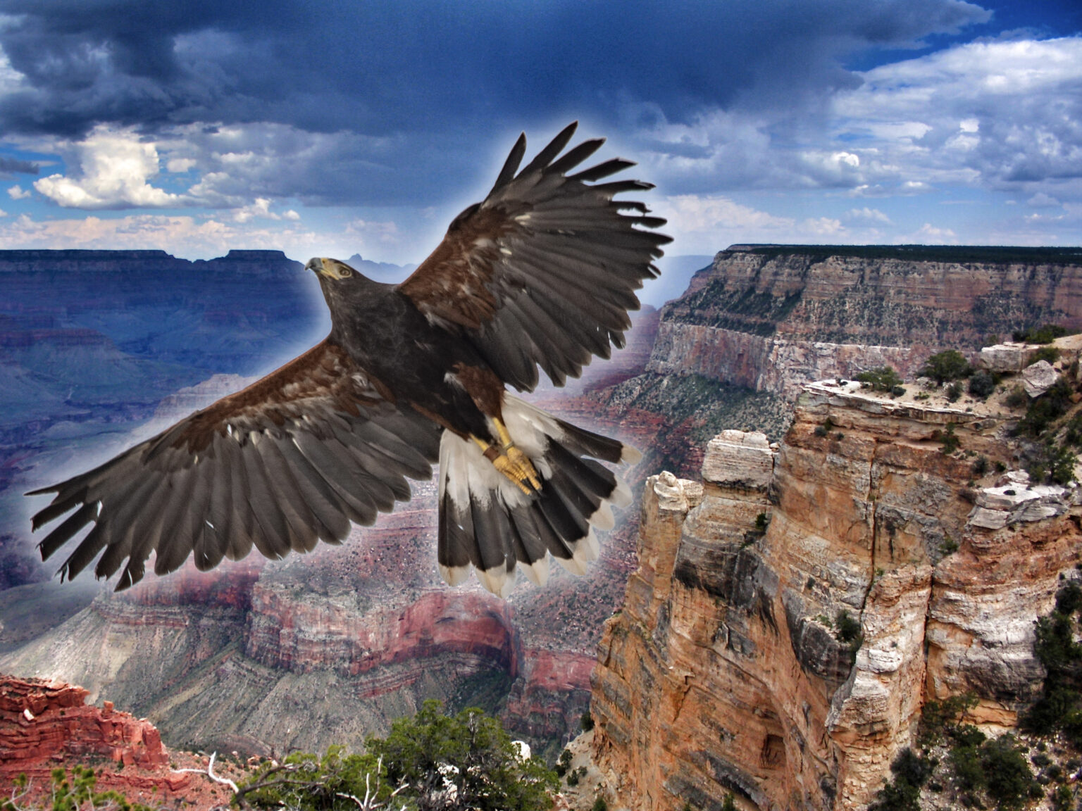 Raptor Ranch – There’s Something Wild In The Air!