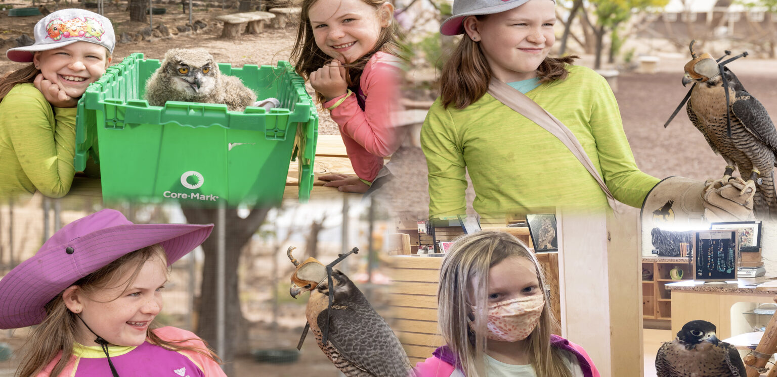 Raptor Ranch – There’s Something Wild In The Air!