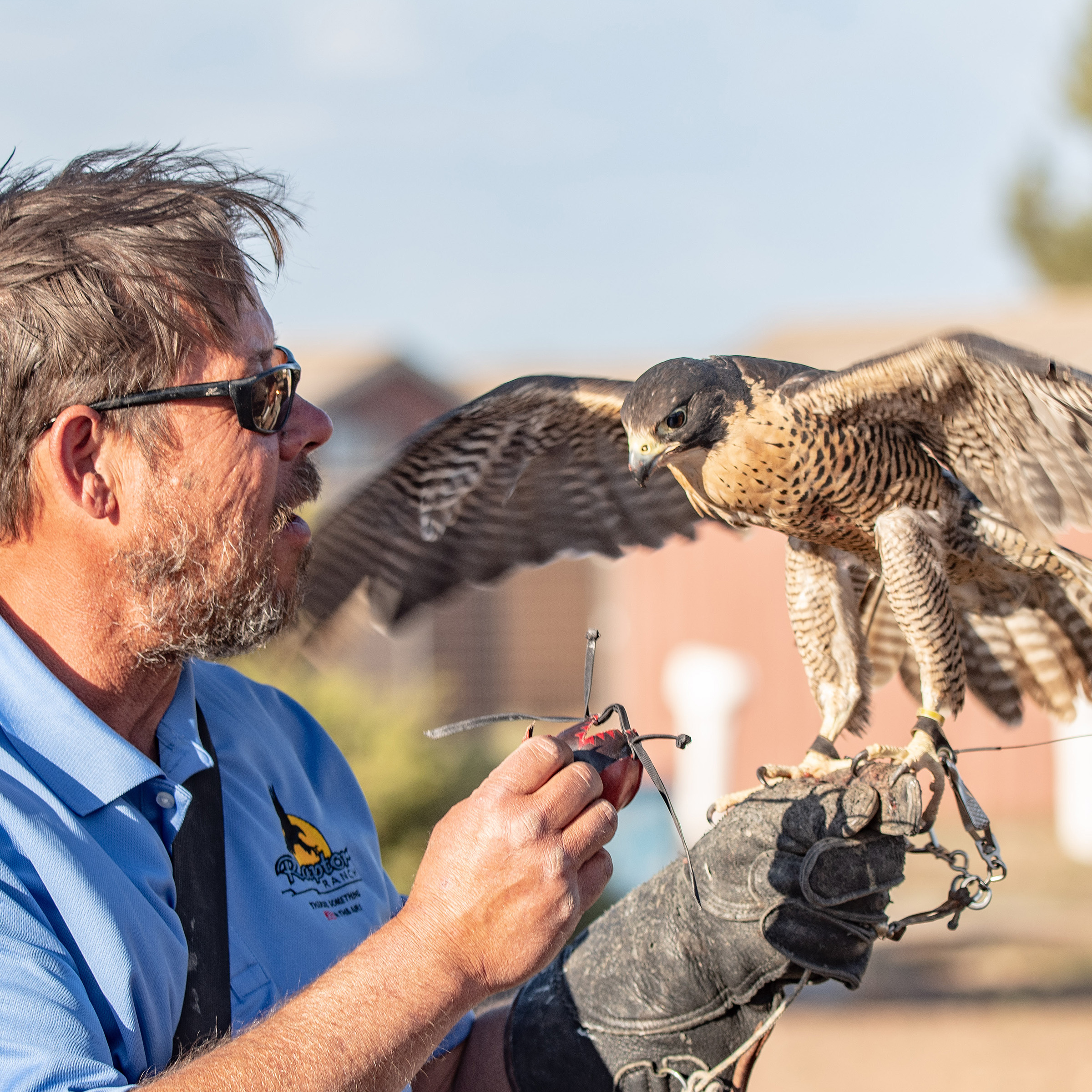 Raptor Ranch Grand Canyon Attractions – Raptor Ranch