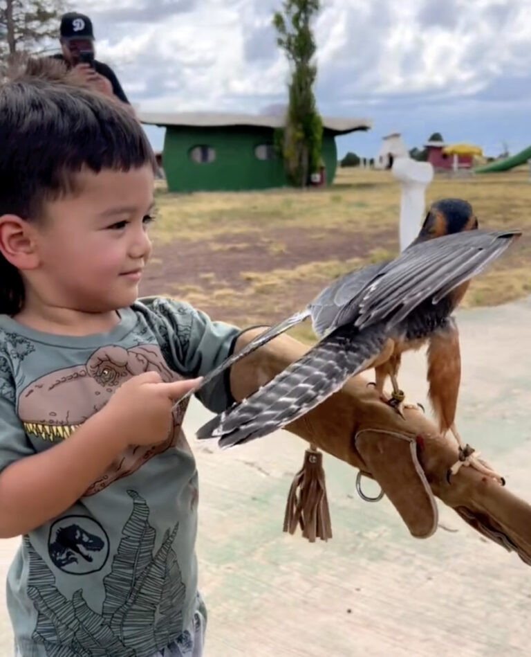 Grand Canyon Raptor Encounters – Raptor Ranch