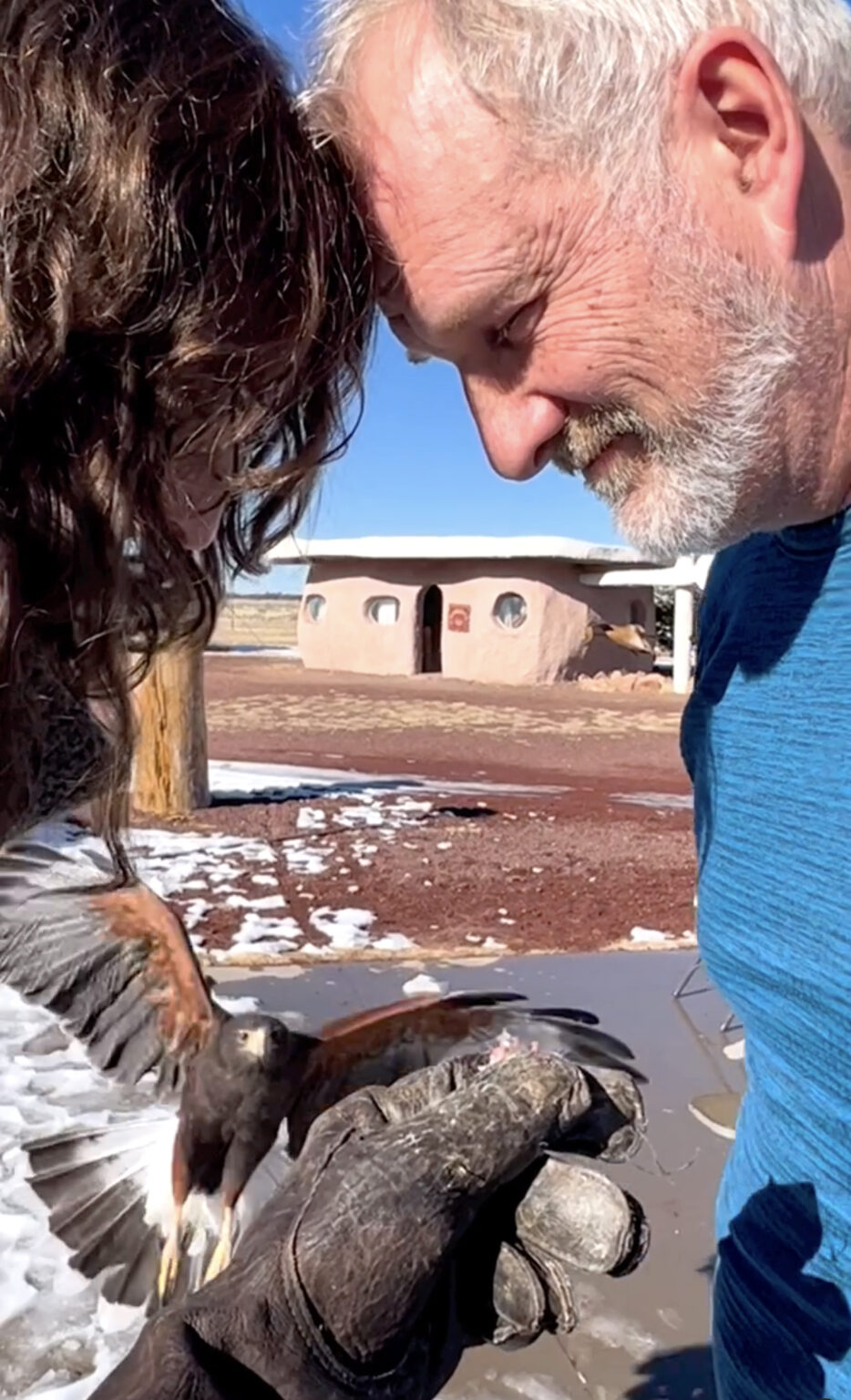 Meet the Grand Canyon Raptors! – Raptor Ranch