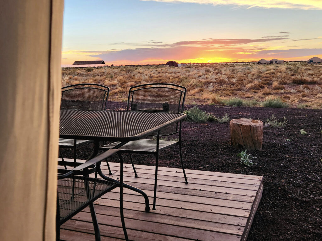 Raptor Ranch – There’s Something Wild In The Air!