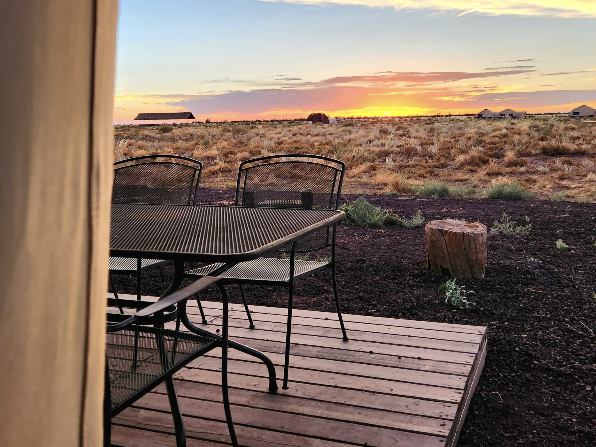 Raptor Ranch – There’s Something Wild In The Air!