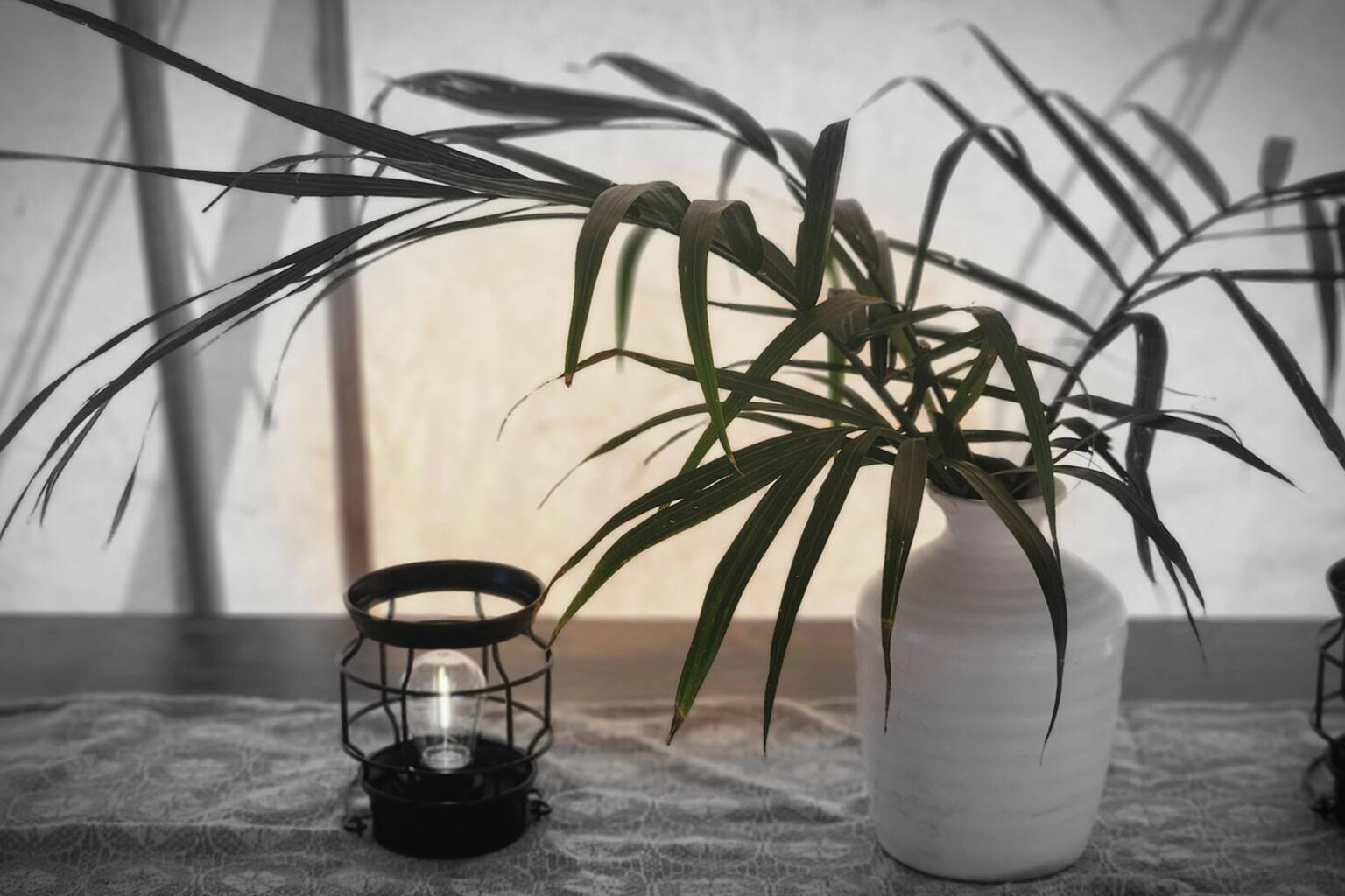 Grand Canyon RV Park & Camping – Raptor Ranch