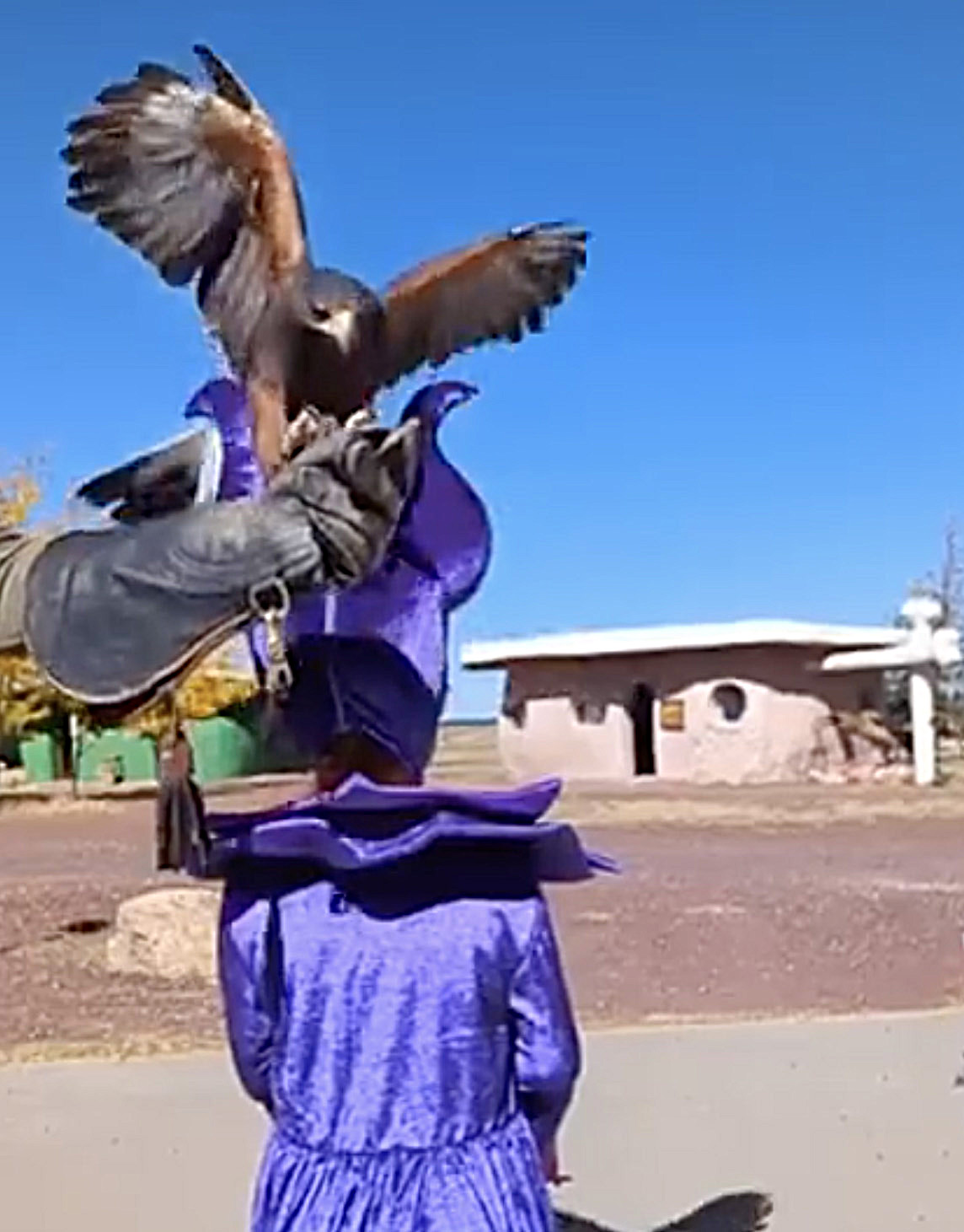 Raptor Fans: Flight Demos at the Ranch are grounded for the winter ...