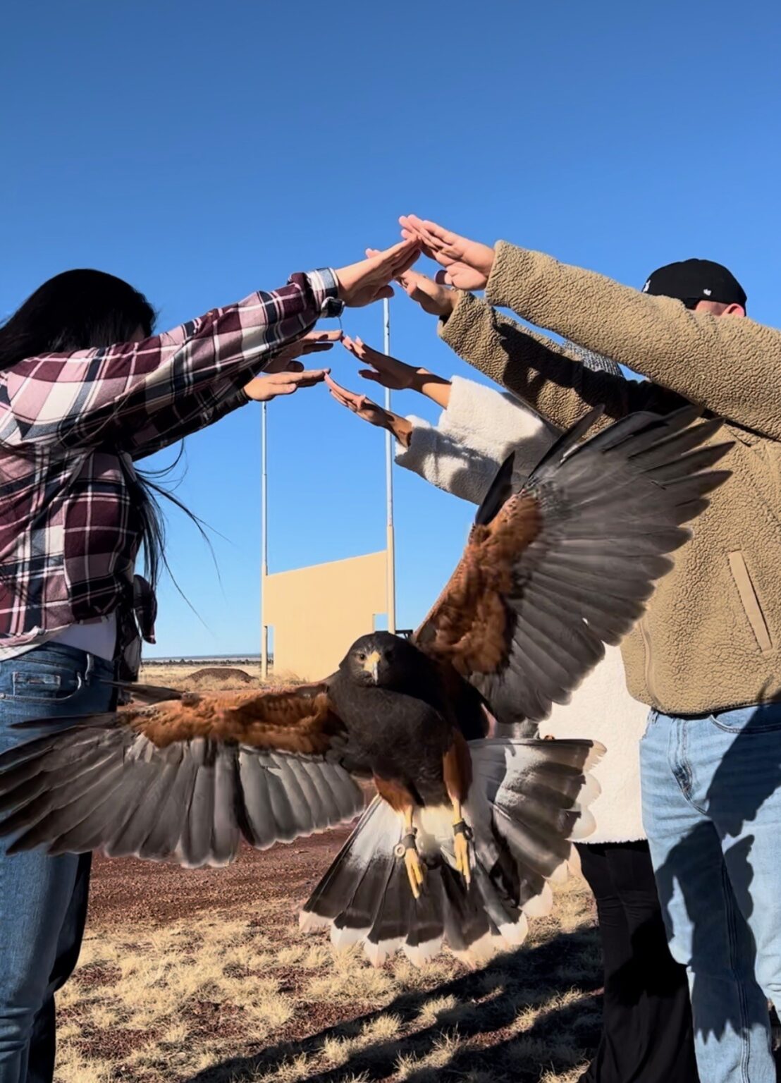 Grand Canyon Raptor Encounters – Raptor Ranch